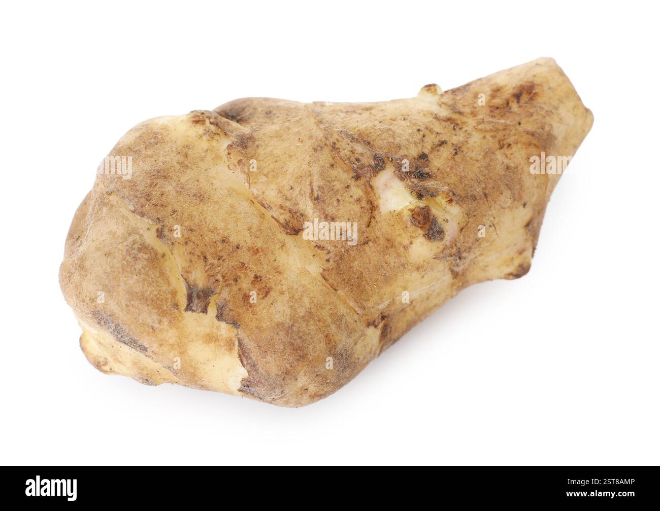 Topinambur girasol sunroot hi-res stock photography and images - Alamy