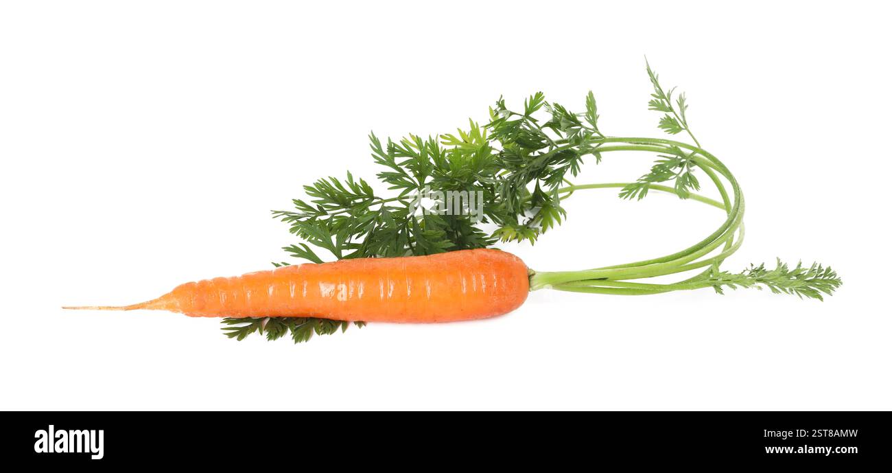 One fresh carrot isolated on white. Root vegetable Stock Photo - Alamy
