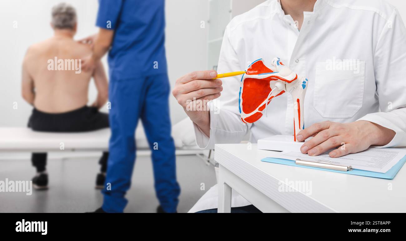 Osteopath demonstrates human anatomy model of shoulder while man ...