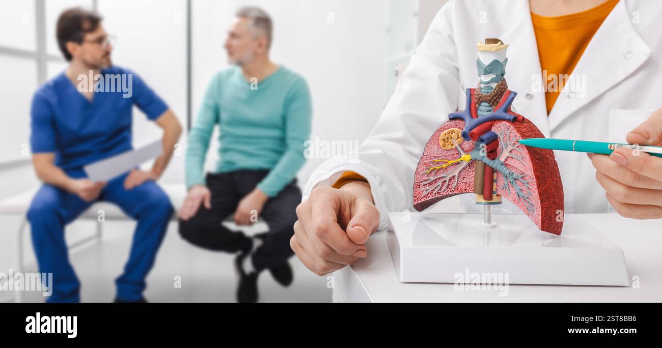 Pulmonologist explain lung health to a patient using anatomical model ...