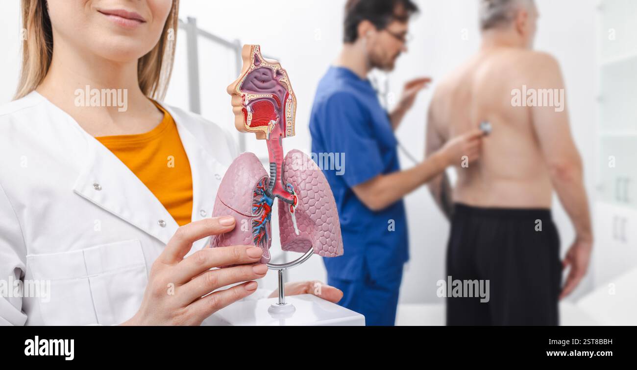In a medical clinic, a nurse holds anatomical model of lungs, while a ...