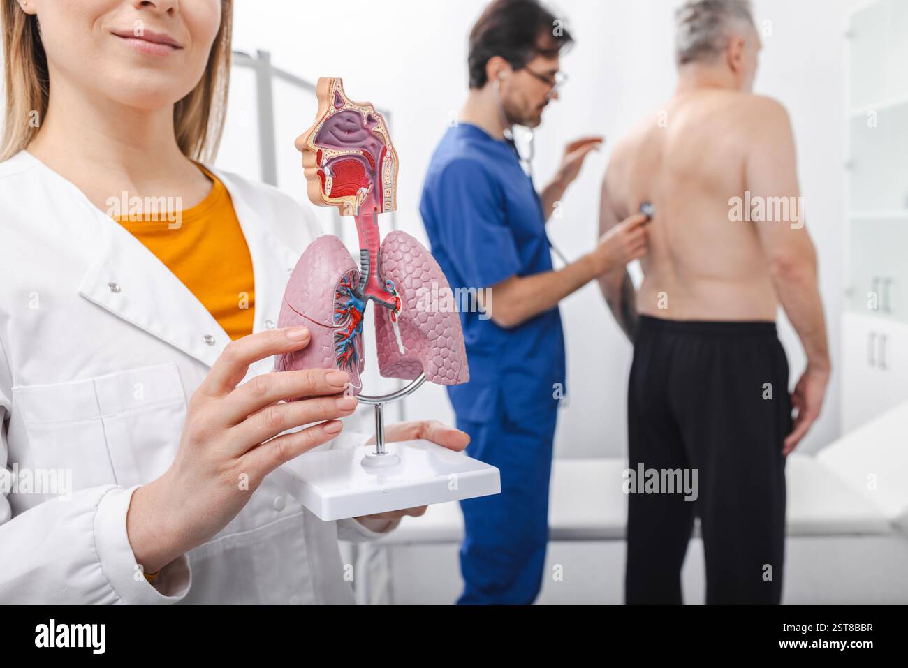 Physician showing lungs model while doctor pulmonologist auscultation a ...