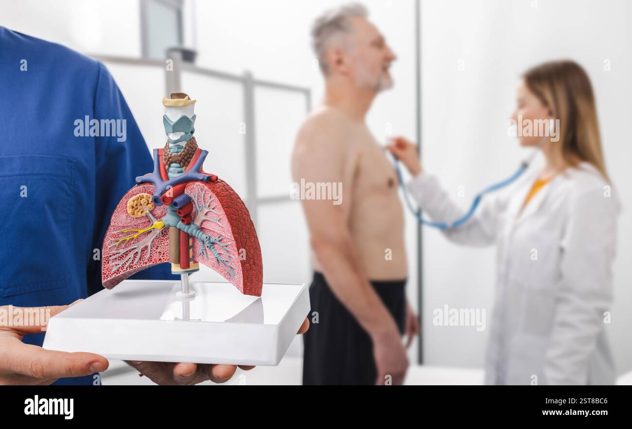 Doctors assess lung health of senior patient using anatomical model of ...