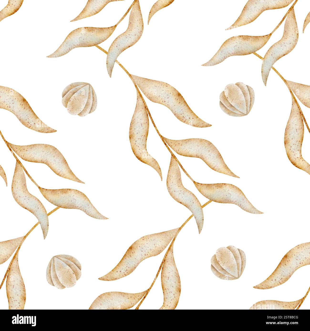 Watercolor pattern rhythmic seaweed, branches, shells. Hand-drawn ...