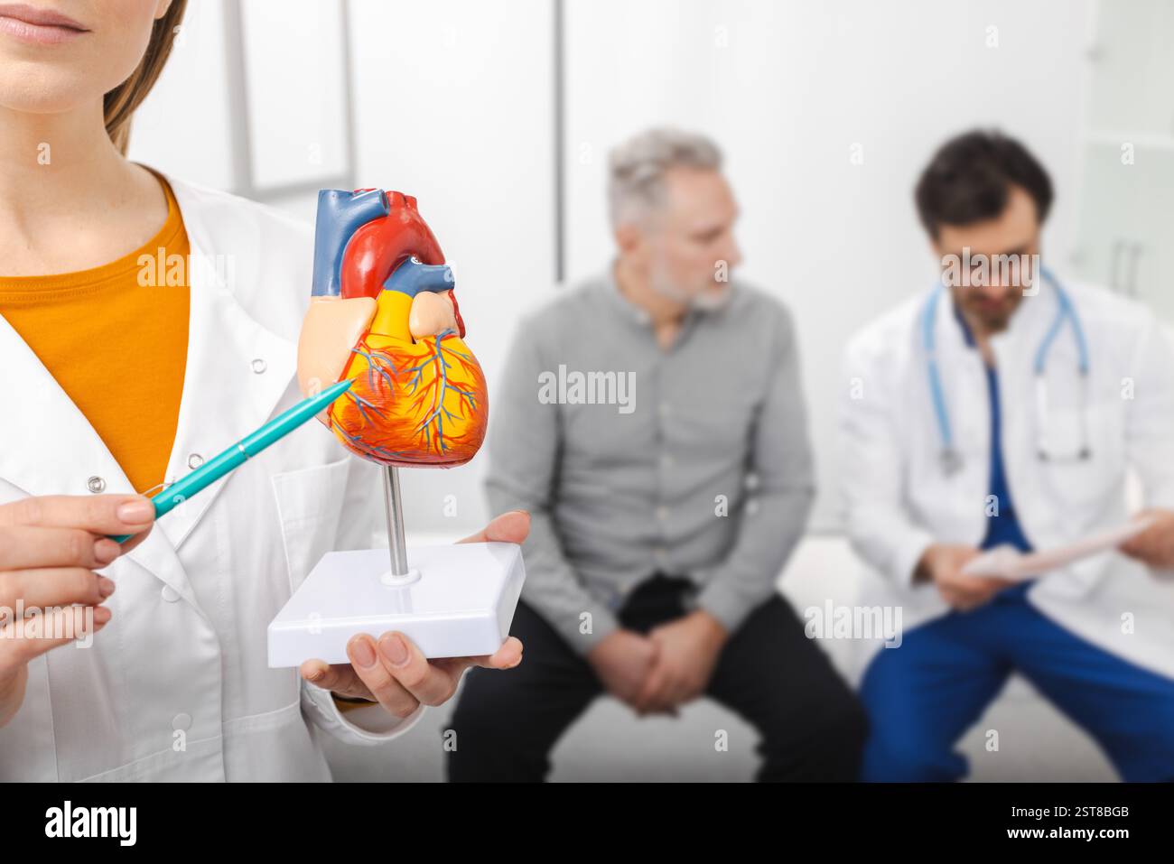 Cardiologist consultation, treatment of heart diseases. Cardiologist ...