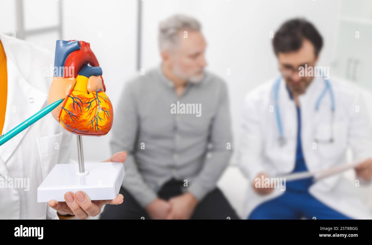 Cardiologist showing structure and anatomy of human heart using medical ...