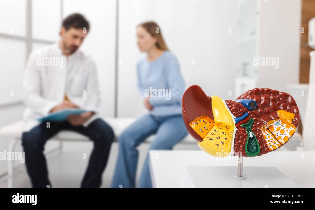 Liver doctor consults woman patient with liver disease in ...