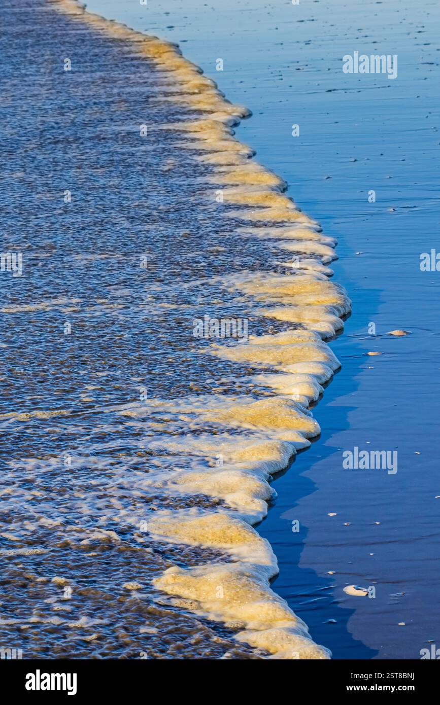 Wave rolling in while harvesting Razor Clams on Mocrocks Beach, Pacific ...