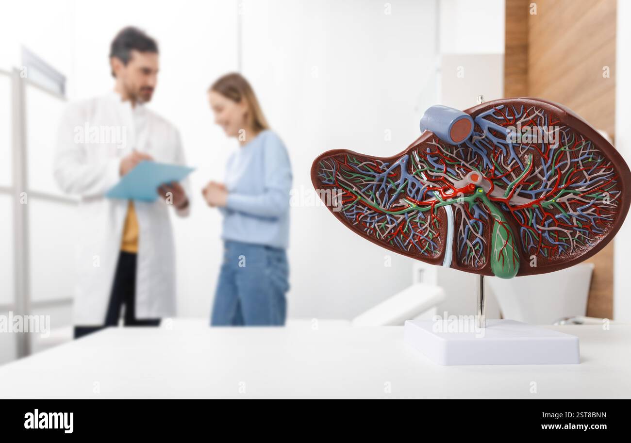 Treatment liver diseases in medicine, conceptual image. Liver ...