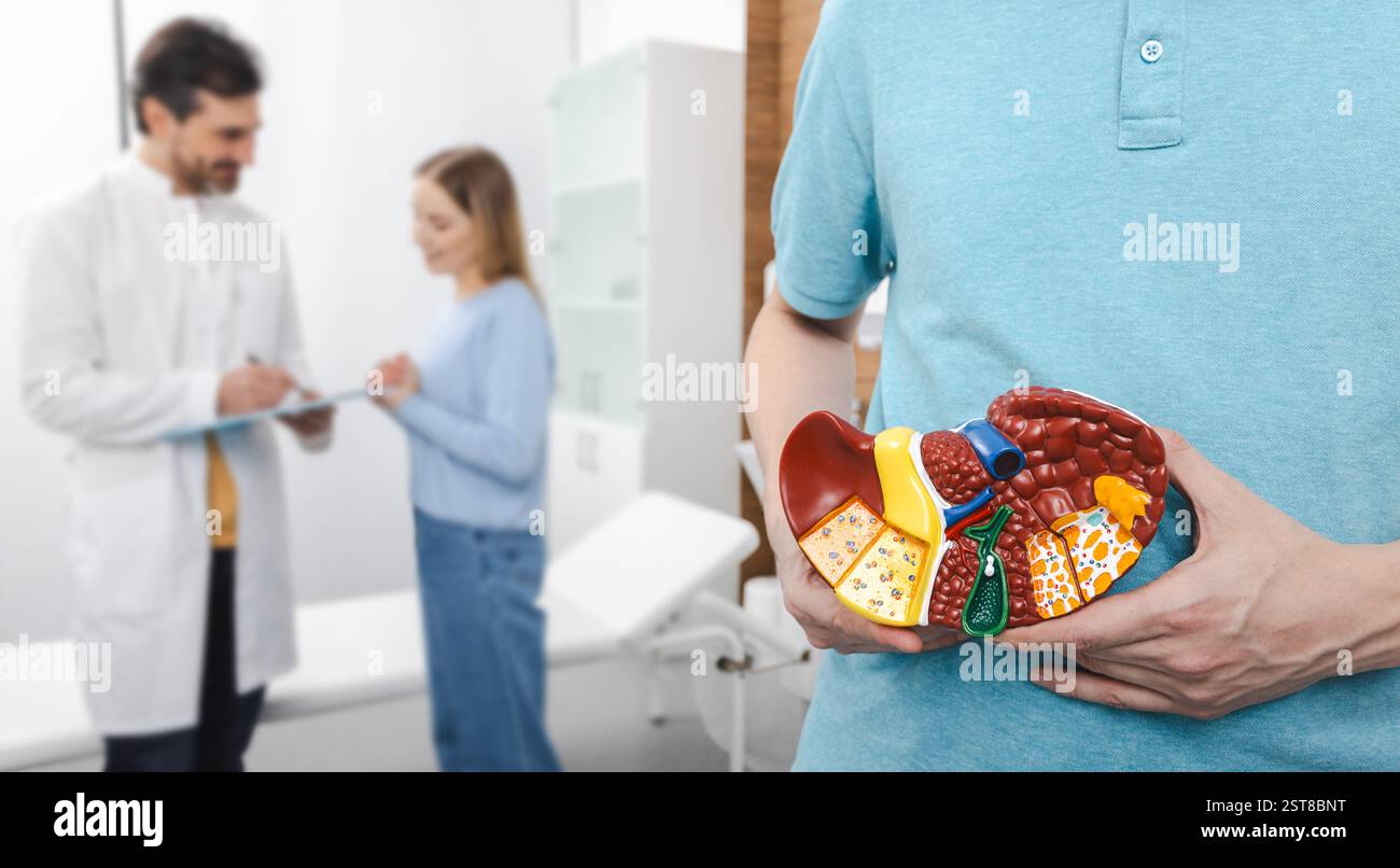 Human liver disease, diagnosis and treatment. Doctor gastroenterologist ...