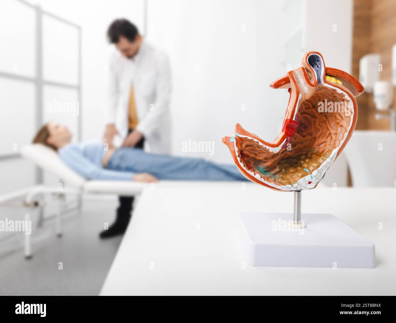 Female doctor examines stomach anatomical hi-res stock photography and ...