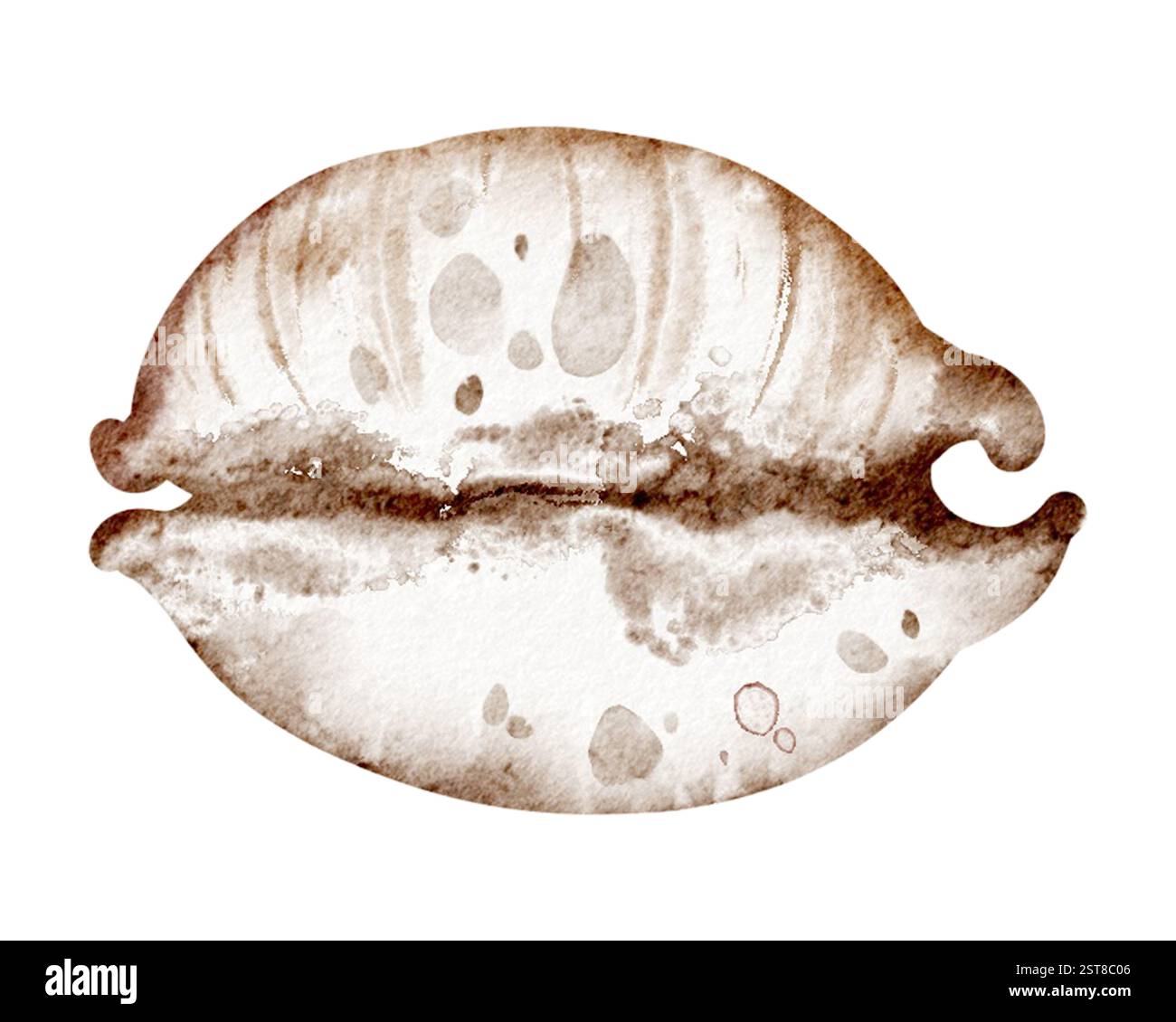 Shell on sand icon Cut Out Stock Images & Pictures - Alamy