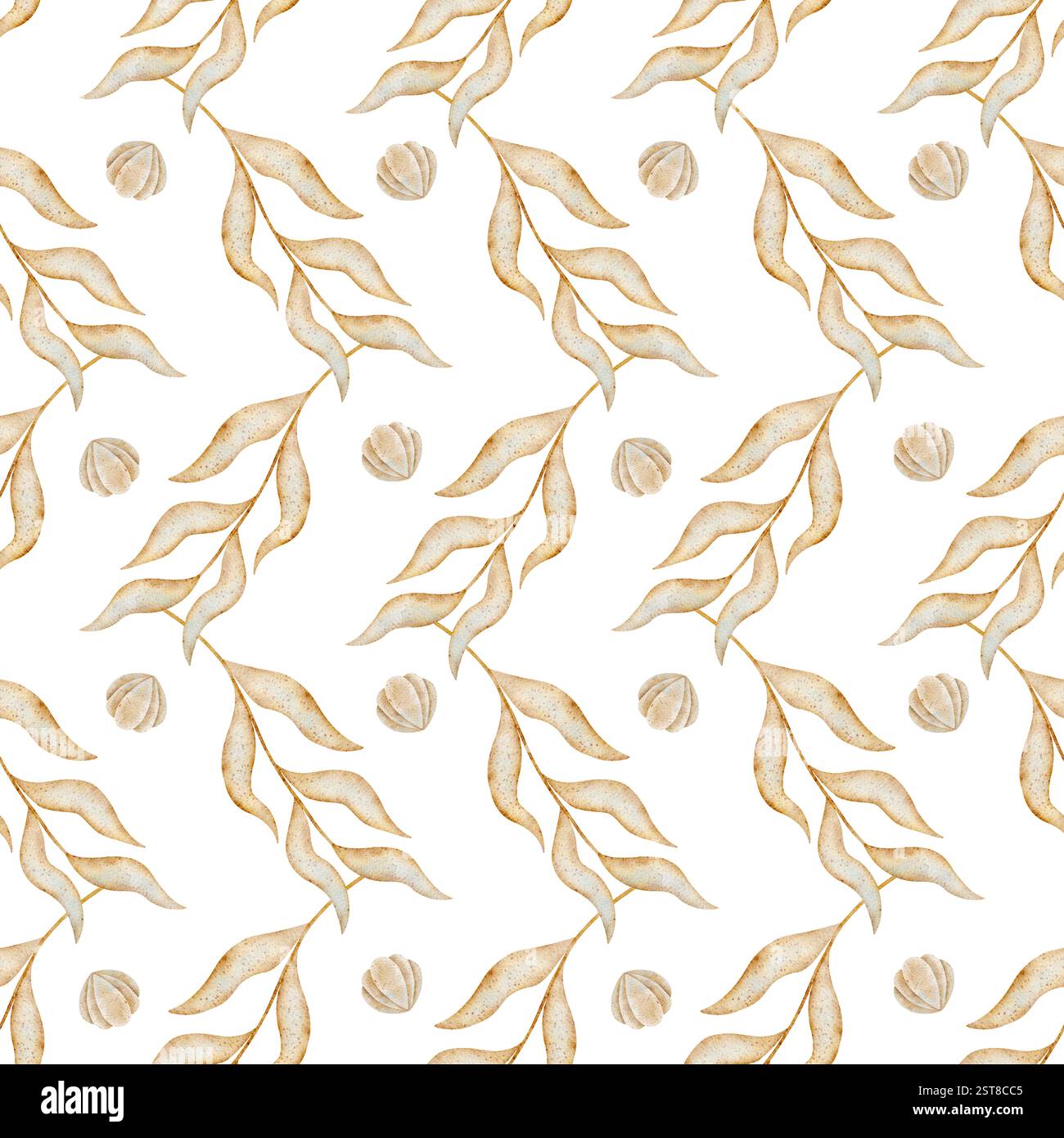 Watercolor pattern rhythmic seaweed, branches, shells. Hand-drawn ...