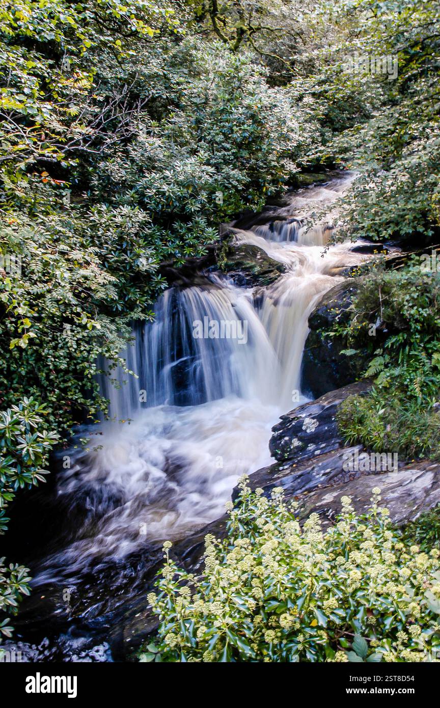 Beautiful Autumn colours at Upper Torc Waterfall, Killarney National ...