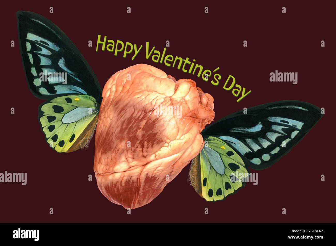 Happy Valentine's Day card Real heart with butterfly wings Stock Photo ...