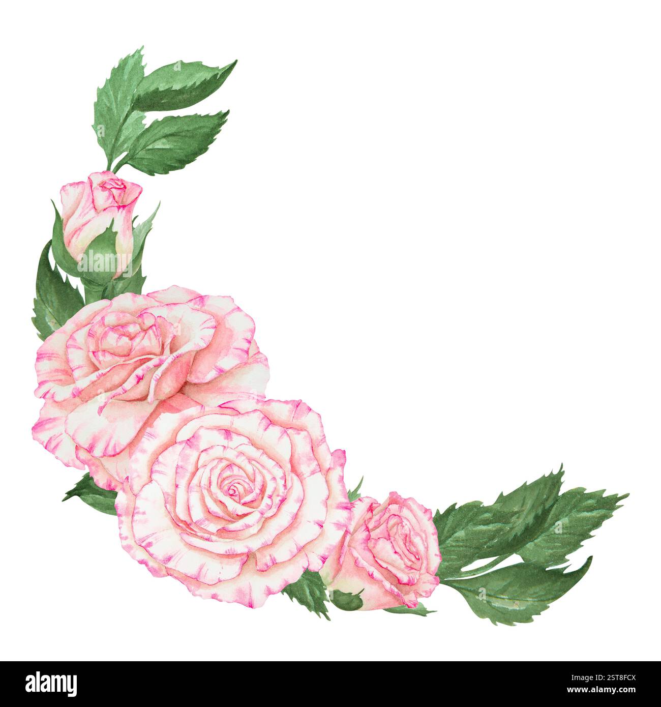 Watercolor illustration of a pink rose floral arrangement in a crescent ...