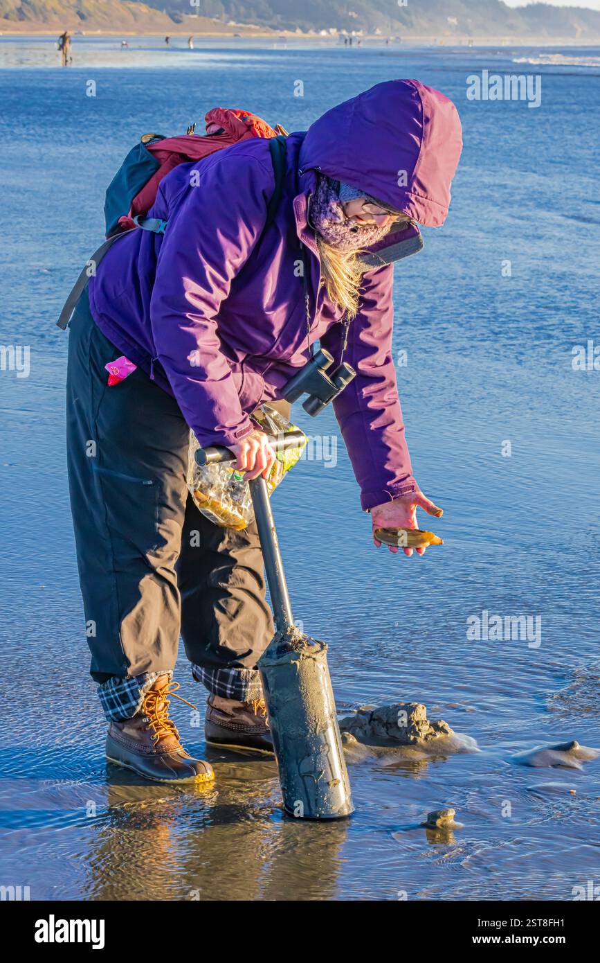 Using a clam gun for harvesting Razor Clams on Mocrocks Beach, Pacific ...
