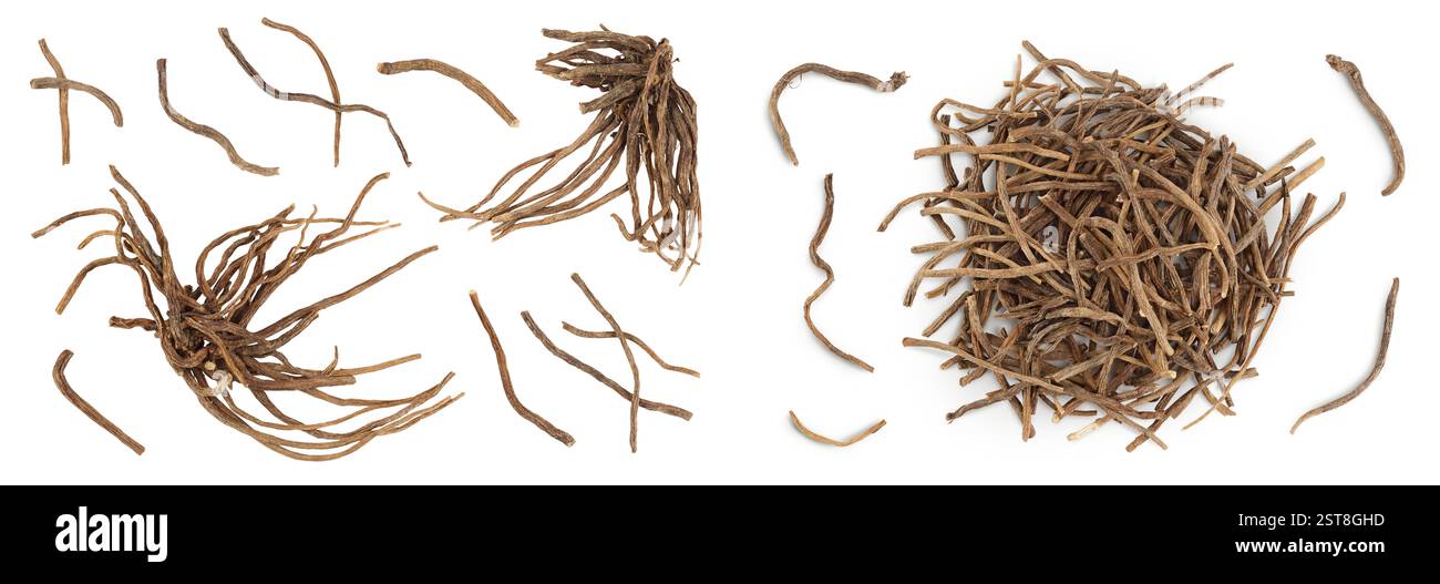 Dried Valerian root isolated on white background. Valeriana officinalis ...