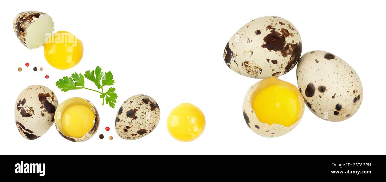 Raw quail egg isolated on white background with full depth of field ...