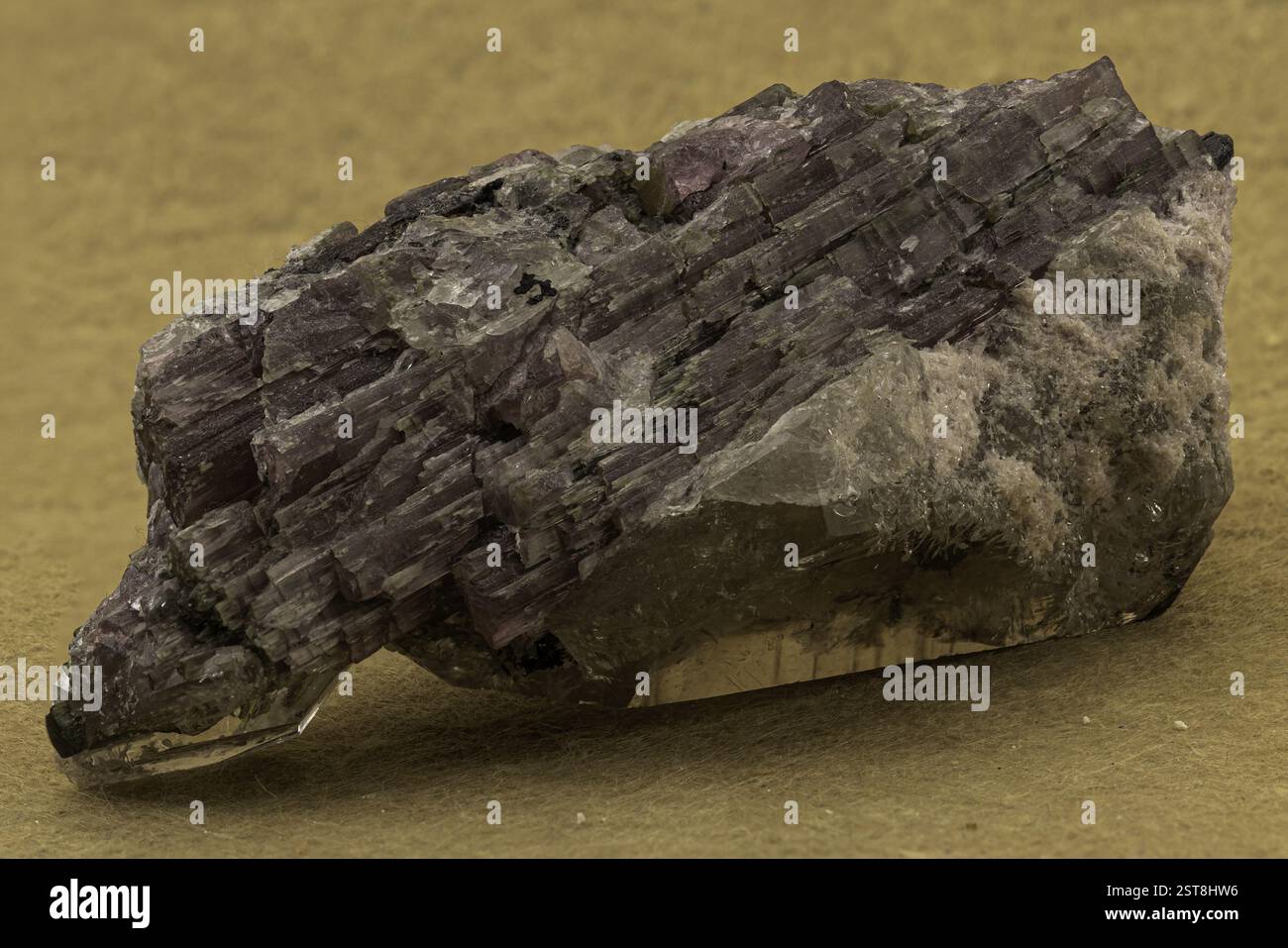 Vivid elbaite tourmaline crystals with quartz and lepidolite matrix on ...
