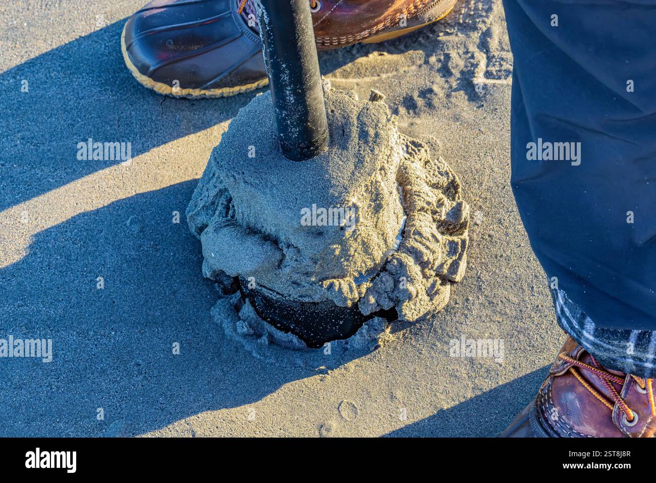 Using a clam gun for harvesting Razor Clams on Mocrocks Beach, Pacific ...