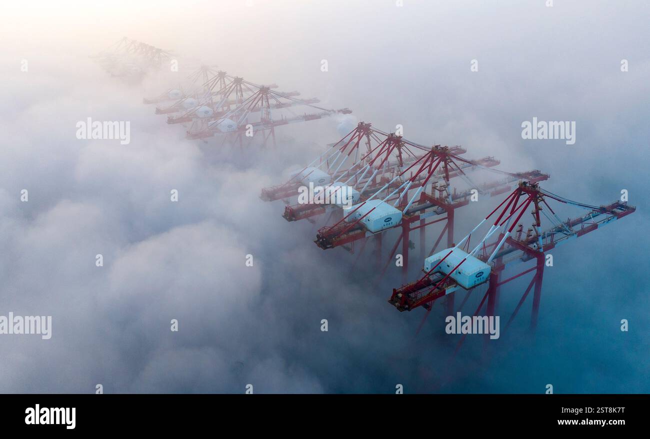 Shanghai, China. 16th Feb, 2025. Cranes, control tower and cargo ships ...