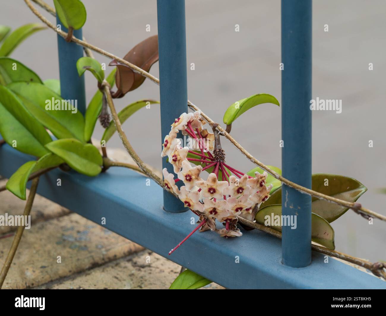 Stage blue green circular hi-res stock photography and images - Alamy