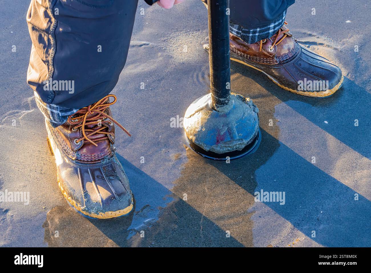 Harvesting Razor Clams on Mocrocks Beach, Pacific Ocean, Washington ...