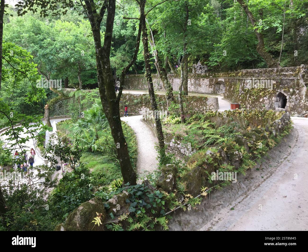 Quinta da Regaleira, Sintra, Portugal. Lush gardens with towering trees ...