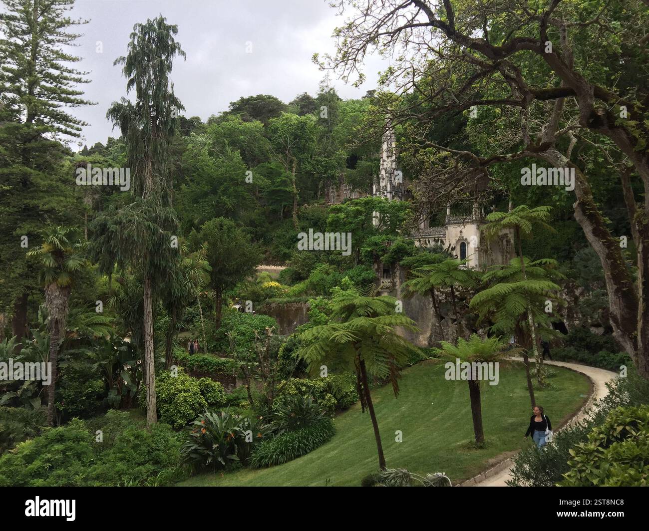 Quinta da Regaleira, Sintra, Portugal. Lush green gardens with towering ...