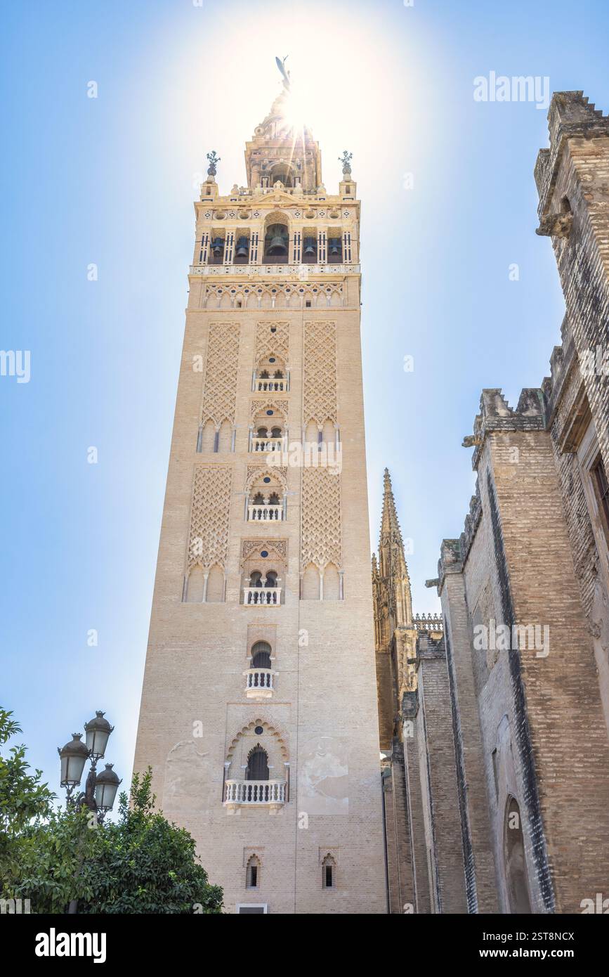 The Giralda bell tower of The Seville Cathedral, The Cathedral of Saint ...
