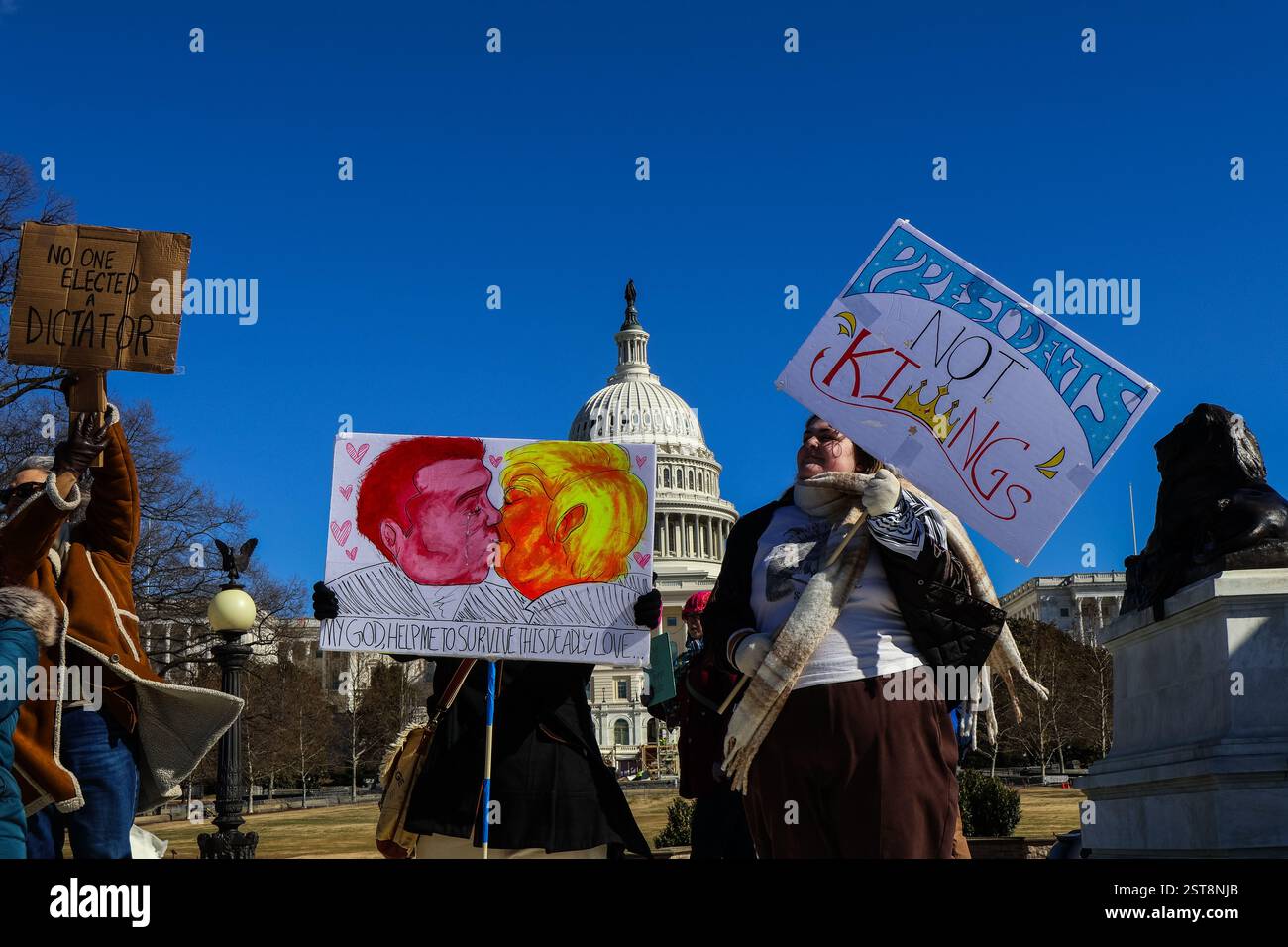 Washington, USA. 17th Feb, 2025. Demonstrators gather at the US Capitol ...