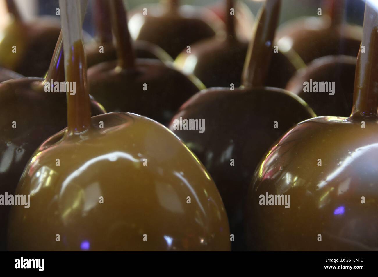 Delicious caramel covered apples on a stick for sale at the county fair ...