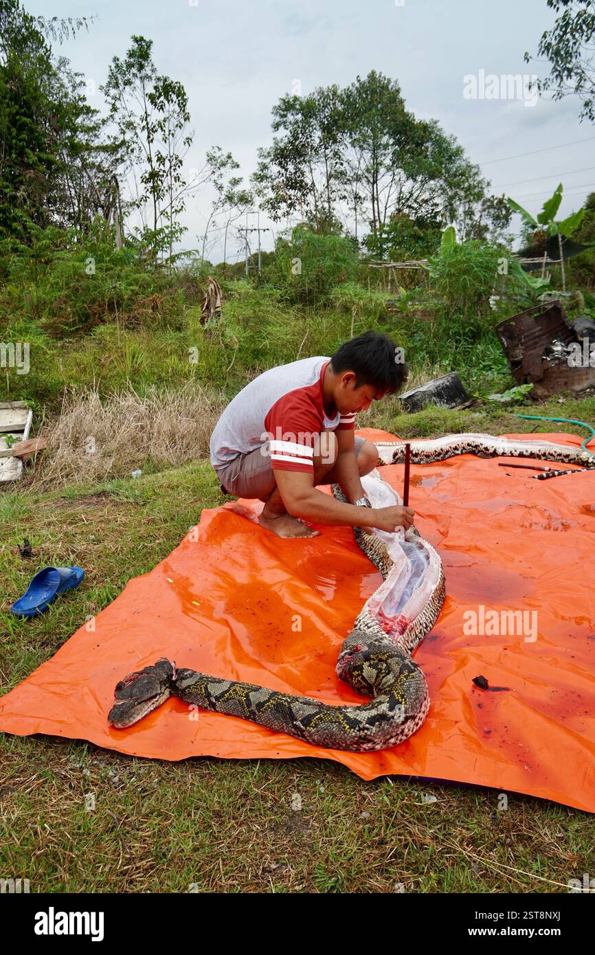 Bario sarawak hi-res stock photography and images - Alamy
