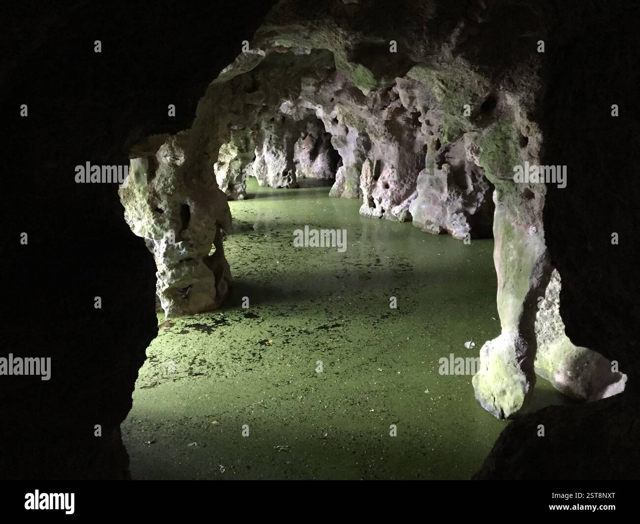 Underground cave, Sintra, Portugal. Water with green algae. Rock ...