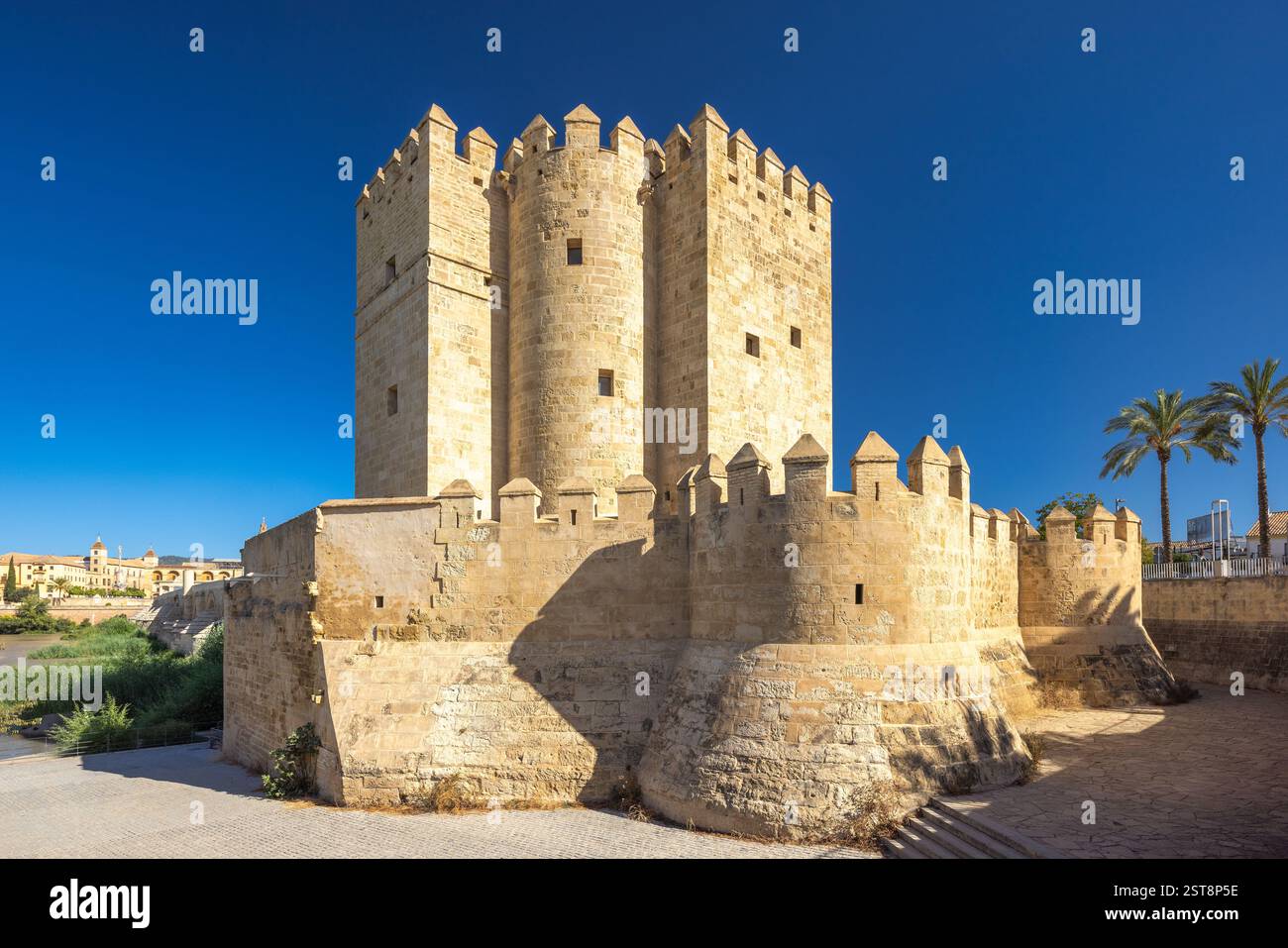 The Calahorra Tower on a one side of the Roman Bridge in Cordoba town ...