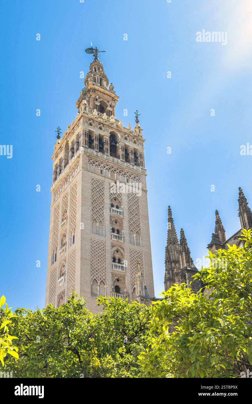 The Giralda bell tower of The Seville Cathedral, The Cathedral of Saint ...