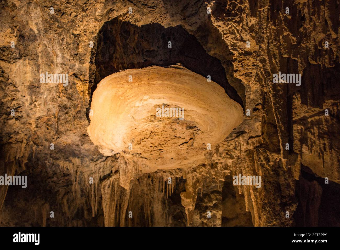 An unusual rock formation known as a cave shield underground at ...