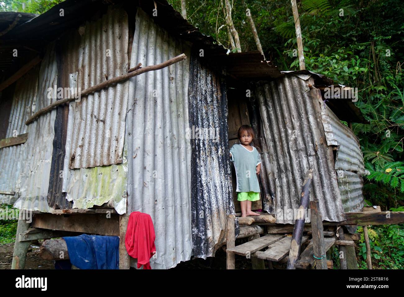 Indigenoussarawak hi-res stock photography and images - Alamy
