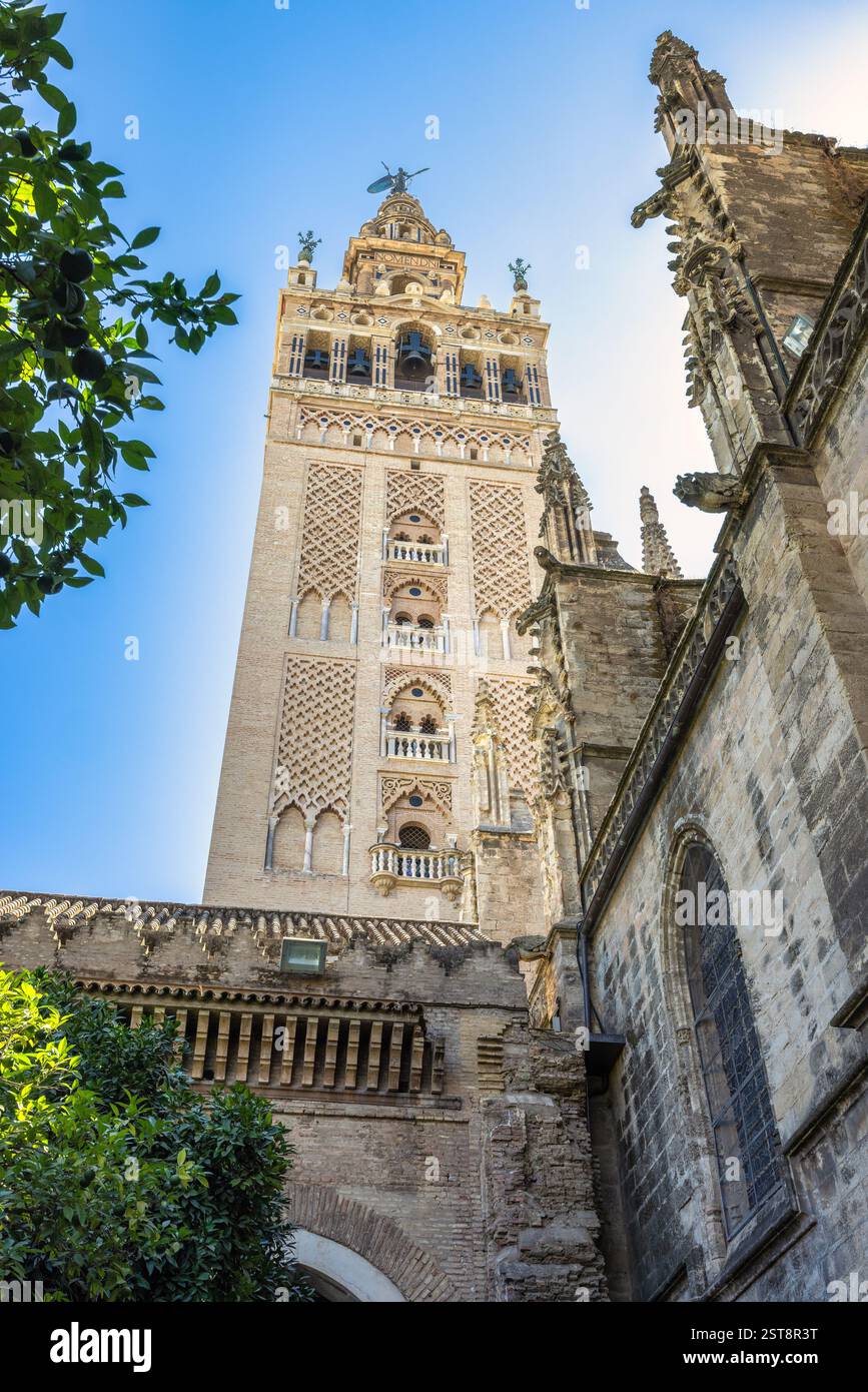 The Giralda bell tower of The Seville Cathedral, The Cathedral of Saint ...