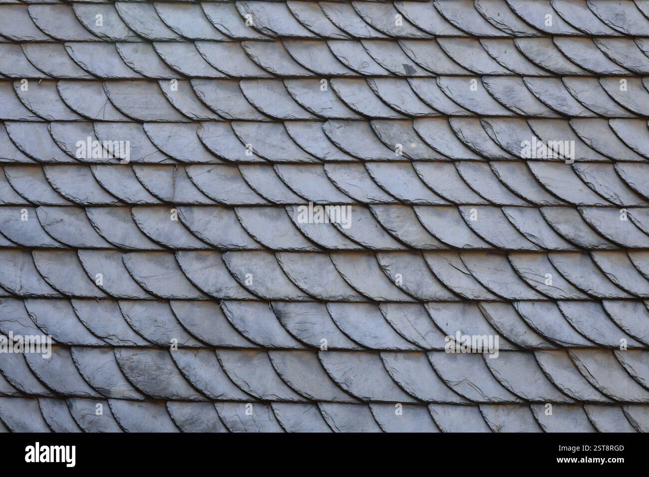 Curved slate shingles Stock Photo - Alamy