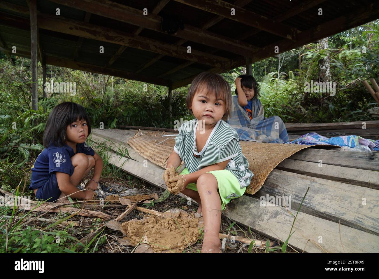Children in Bario, Sarawak, Borneo, Malaysia Stock Photo - Alamy
