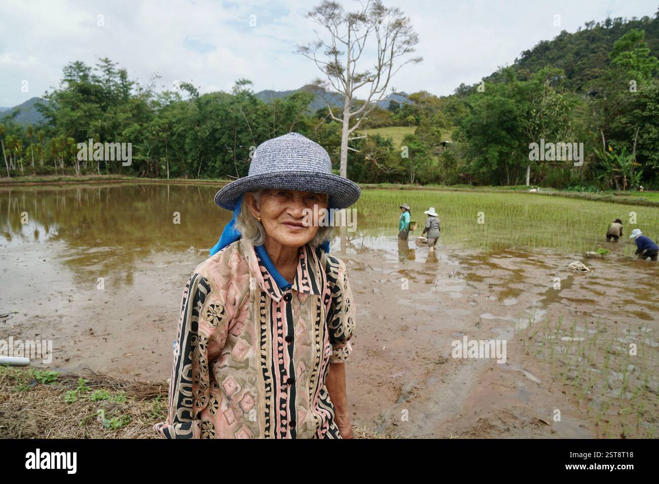 Bario, Sarawak, Borneo, Malaysia Stock Photo - Alamy