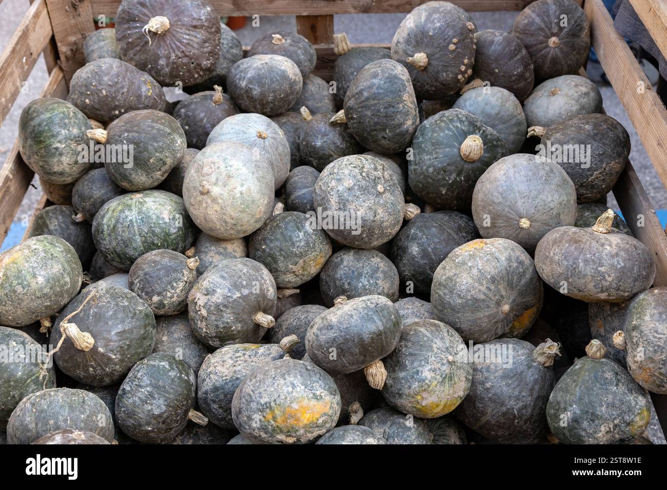 Zucca delica hi-res stock photography and images - Alamy