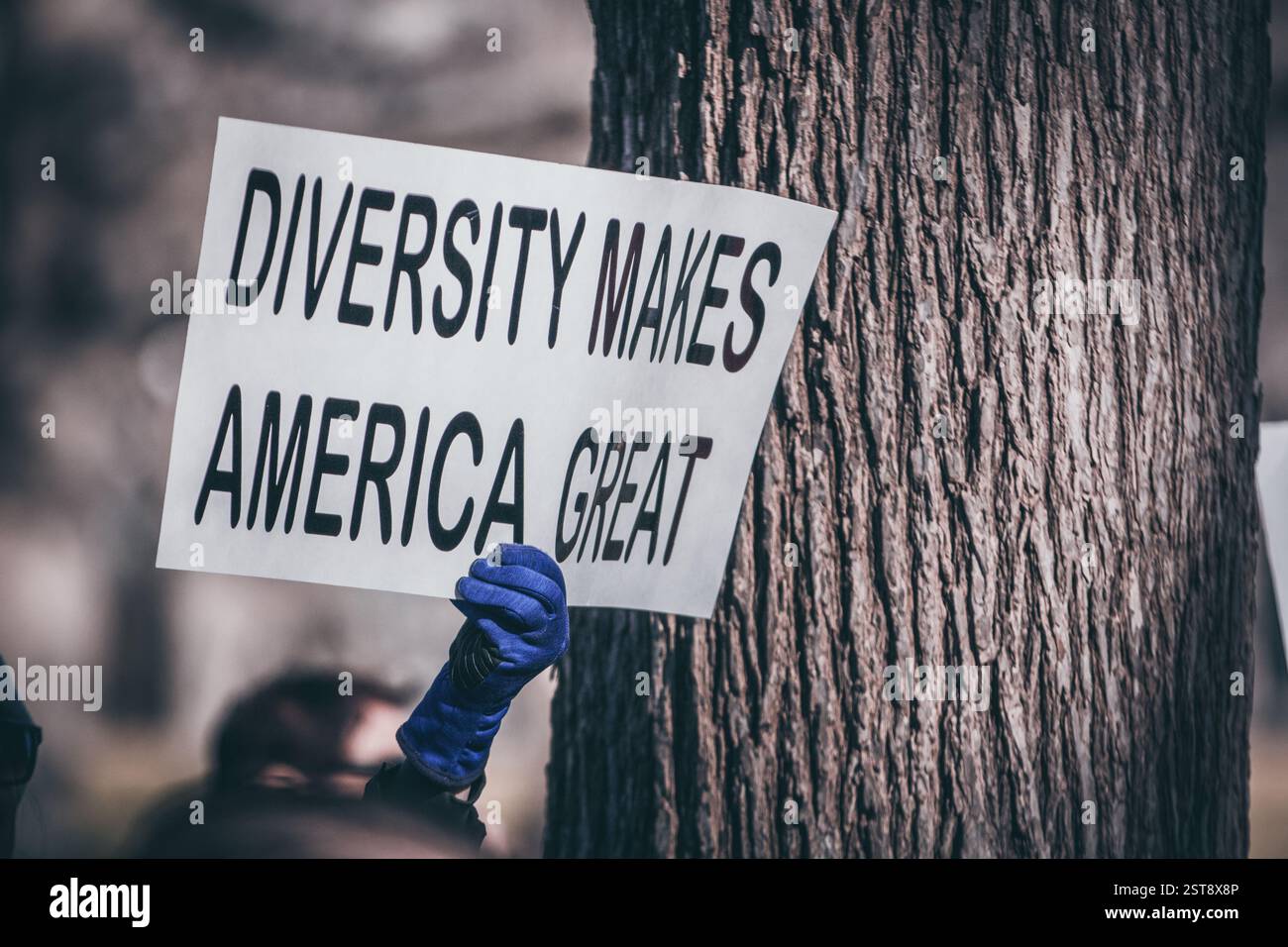Richmond VA, USA, 17th Feb 2025, Anti Donald Trump and Elon Musk ...