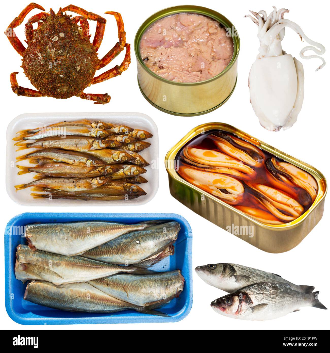 Set of assorted raw fish and seafoods Stock Photo - Alamy