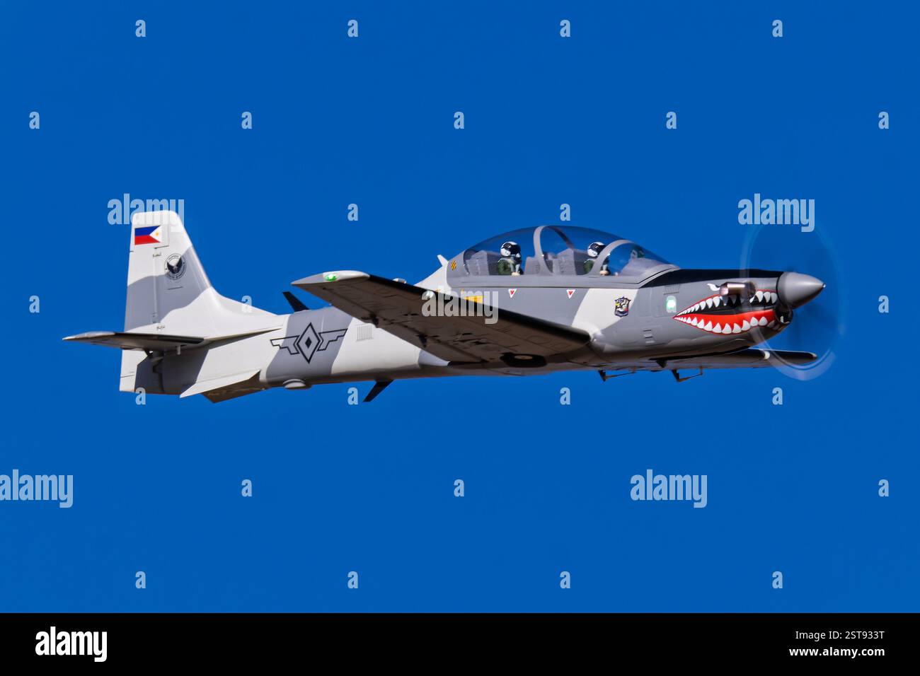 AMPS RC Park 2-15-2025 Phoenix, AZ, USA Scale radio controlled model of ...