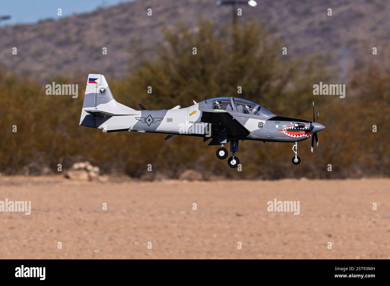 AMPS RC Park 2-15-2025 Phoenix, AZ, USA Scale radio controlled model of ...