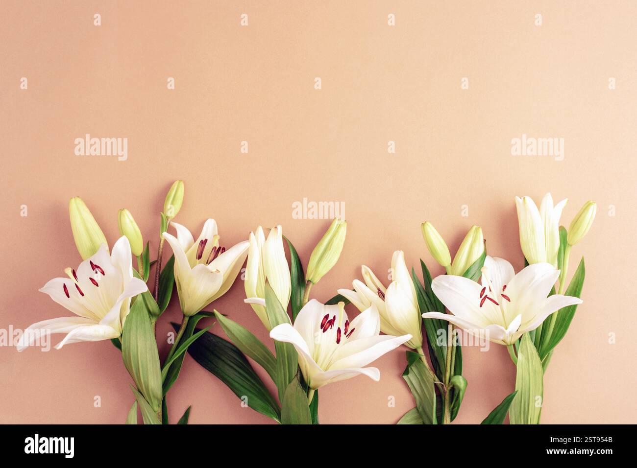 Top view bright lilies greeting hi-res stock photography and images - Alamy