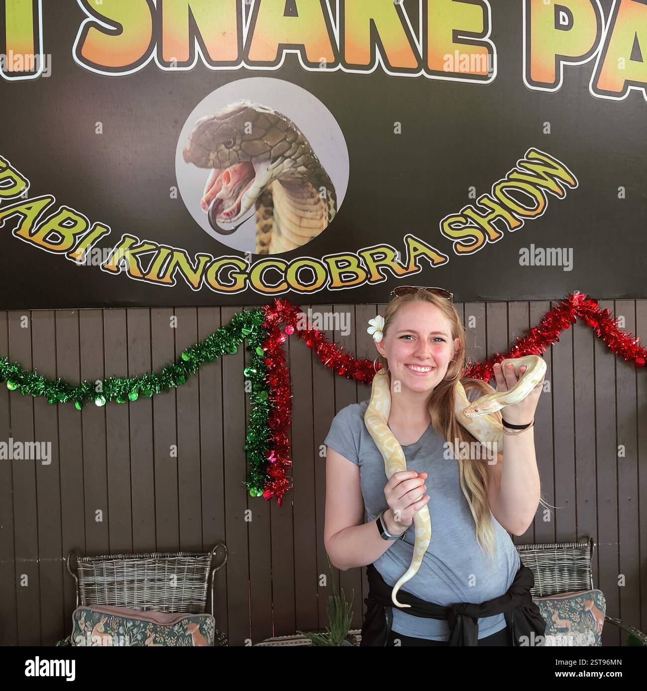 Bangkok, thailand - Dec 25 2024: Visitors interacting with snakes at an ...